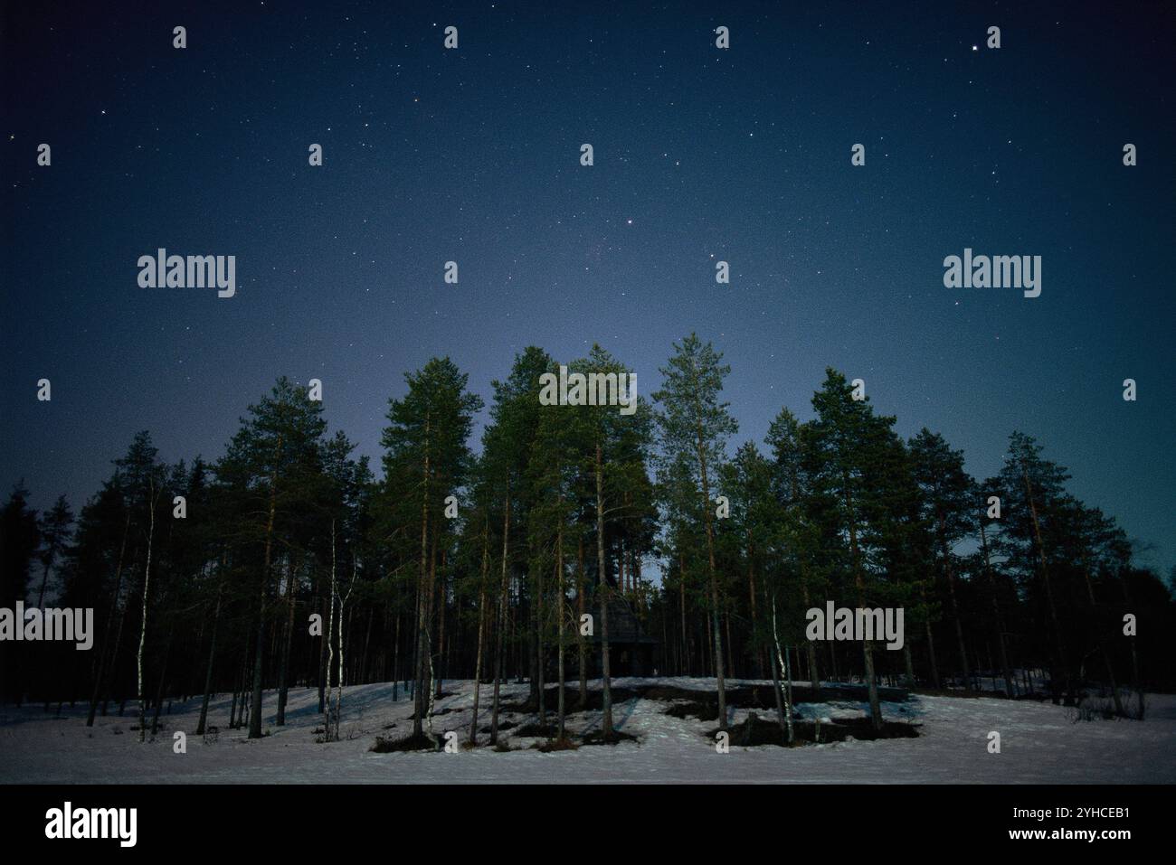 Moonlight forest snow hi-res stock photography and images - Alamy