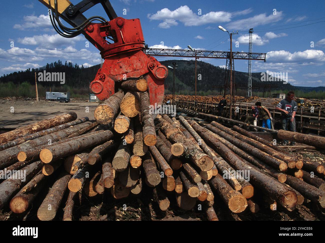 Chainsaw operation hi-res stock photography and images - Alamy