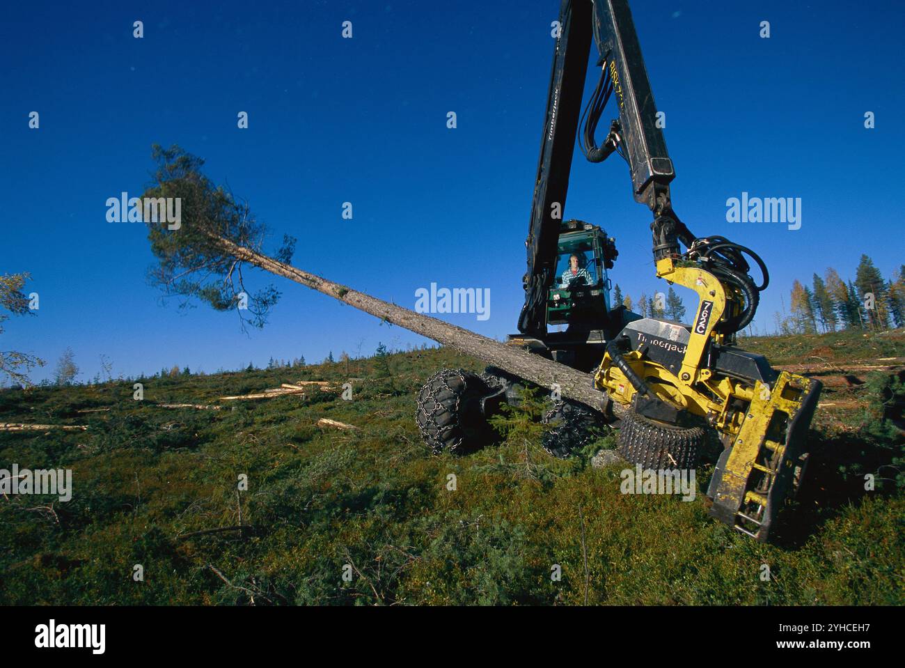 Crane forest harvesting hi-res stock photography and images - Alamy