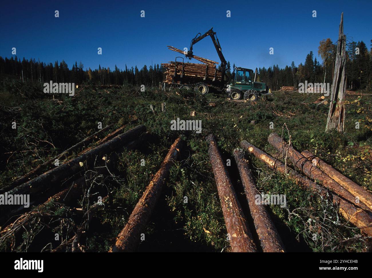 Crane forest harvesting hi-res stock photography and images - Alamy