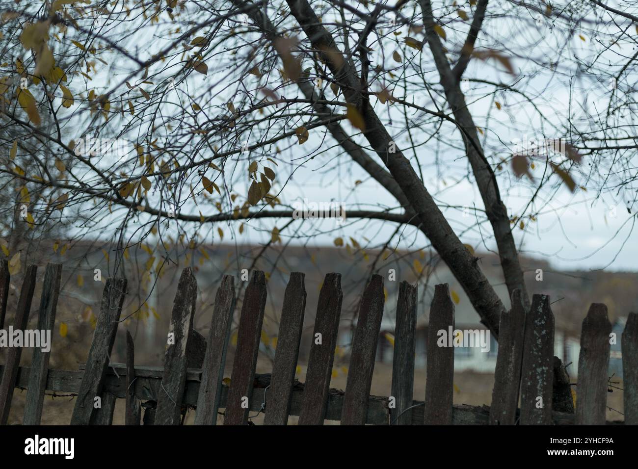 Wooden Village Fence Stock Photo - Alamy