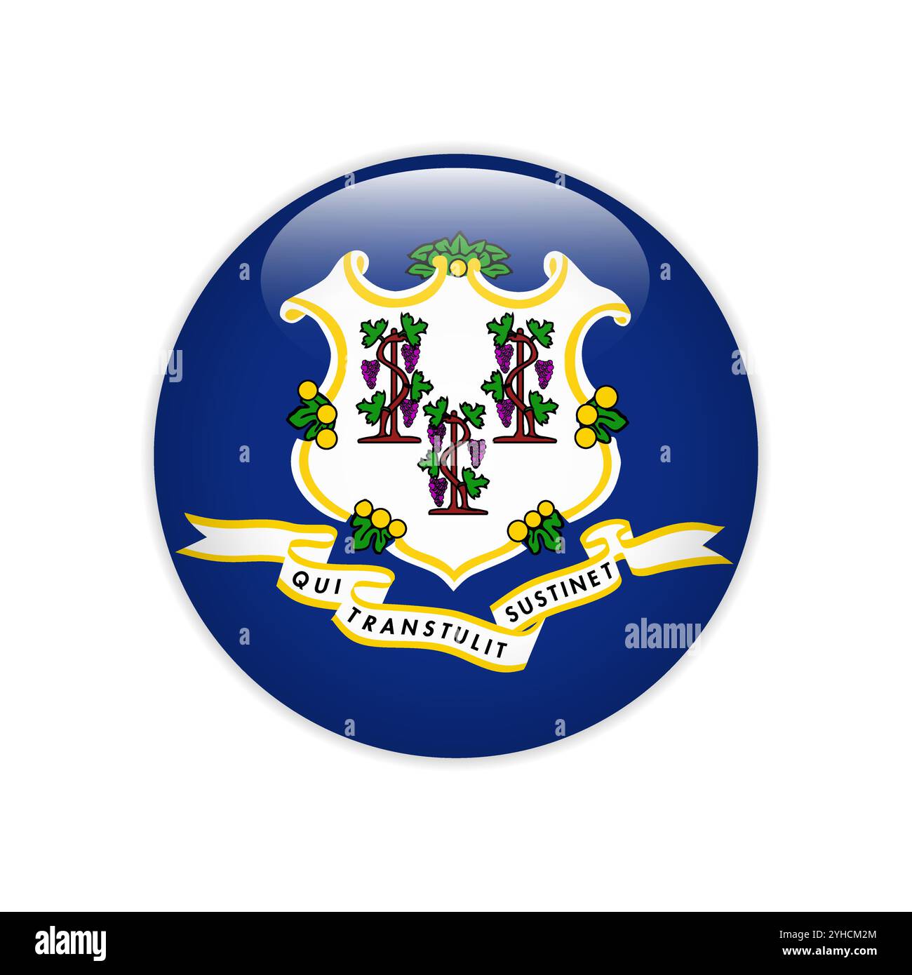 Connecticut waving flag hi-res stock photography and images - Alamy