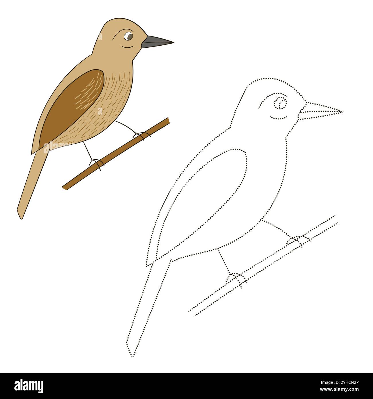 Connect the dots game xenops bird vector Stock Vector Image & Art - Alamy