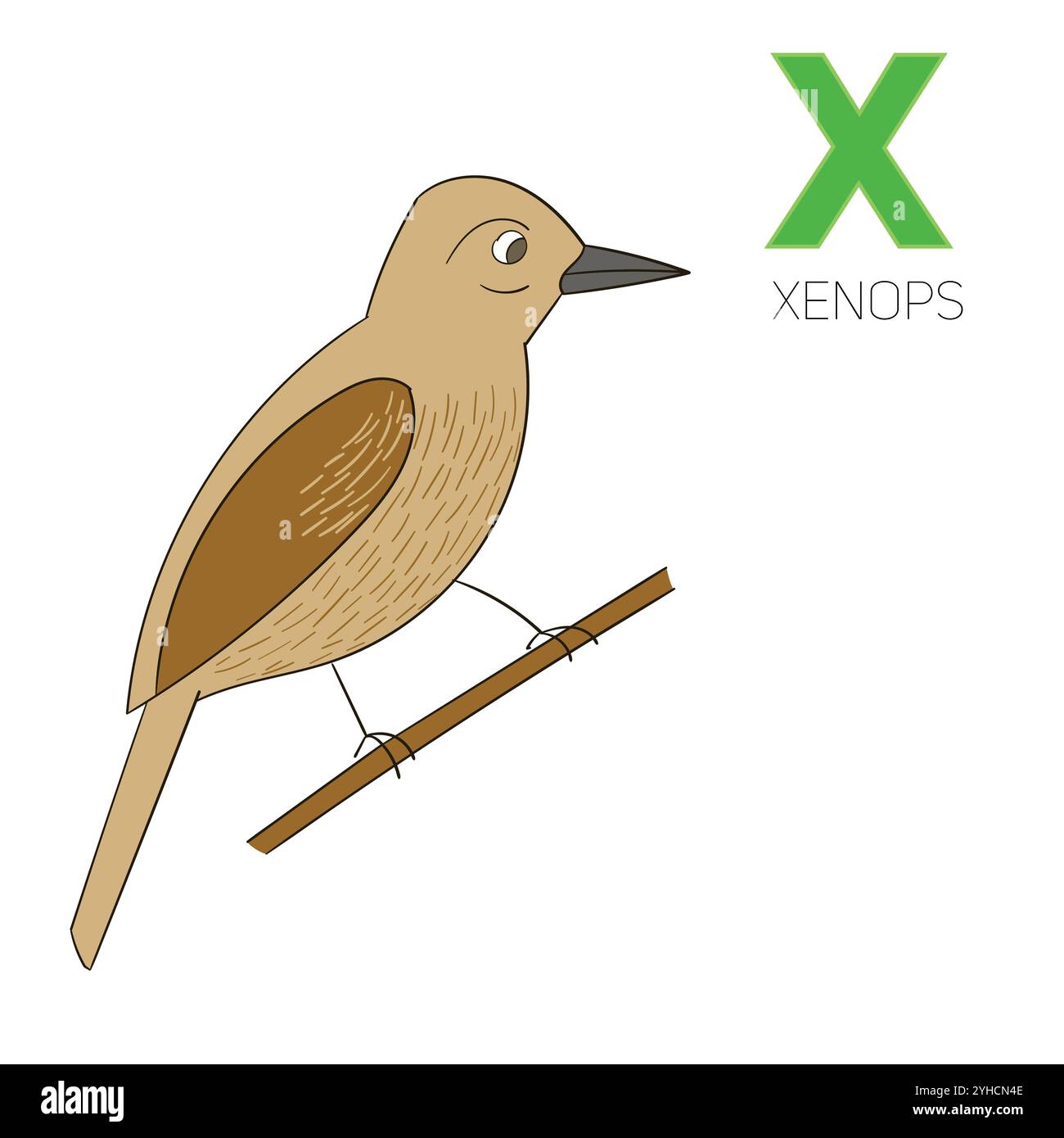 Letter x bird Stock Vector Images - Alamy