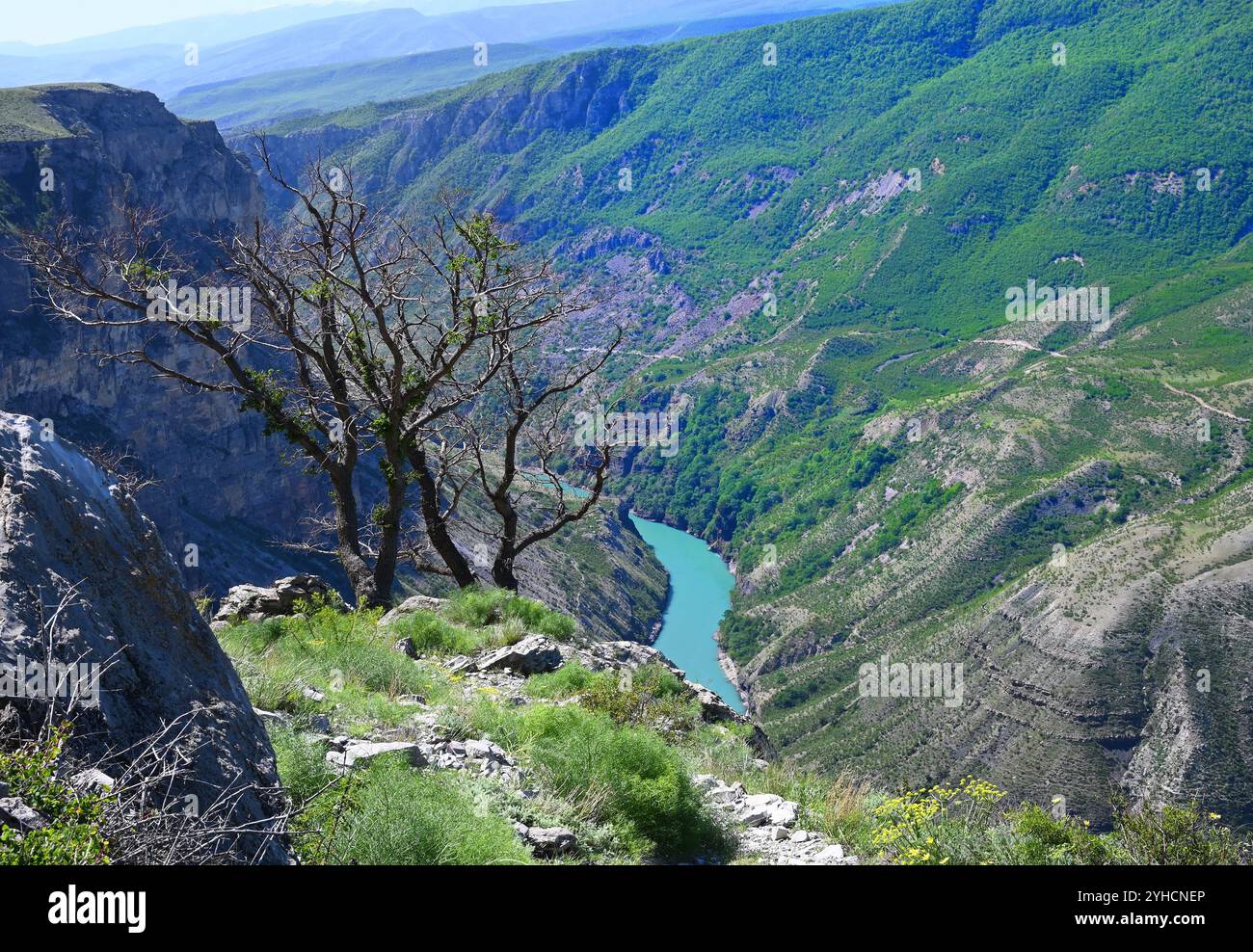 The Sulak River is surrounded by green mountains. Natural landmark ...