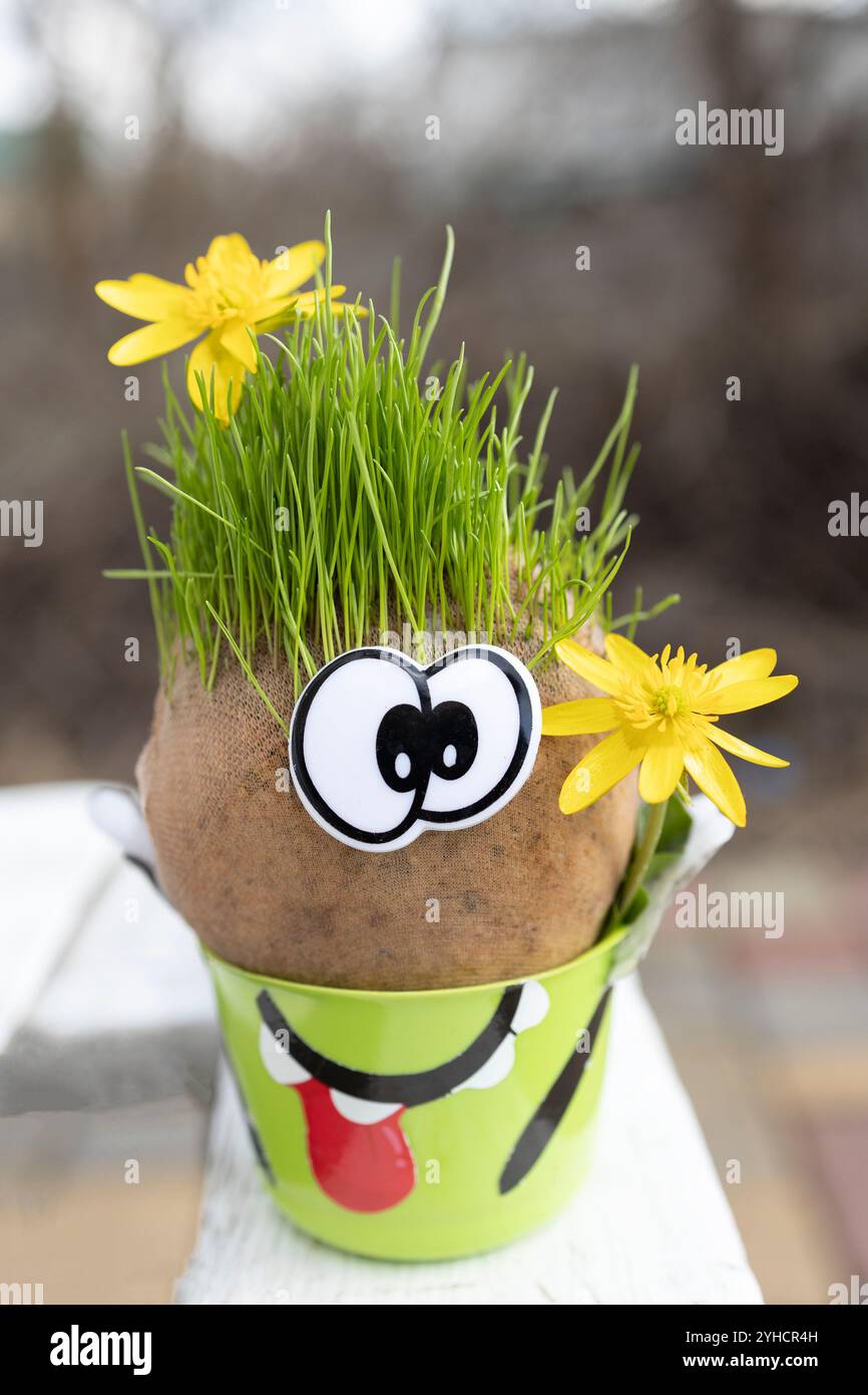 children's experiment of growing grass on the head of a funny toy man ...