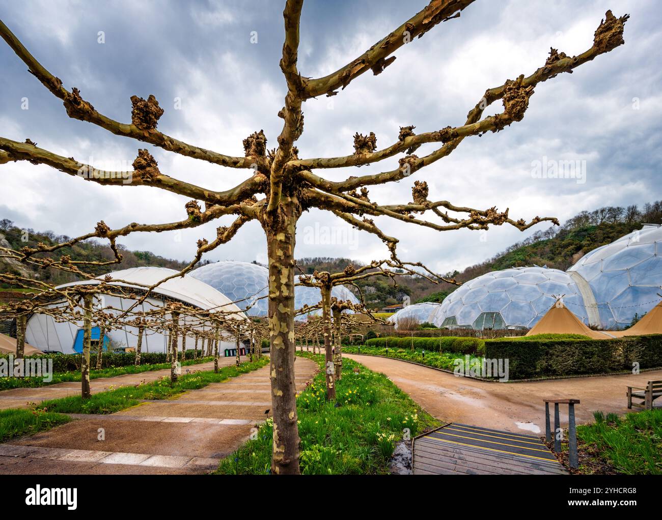 Spring view of The Avenue at the Eden Project, with, l to r, The Stage ...