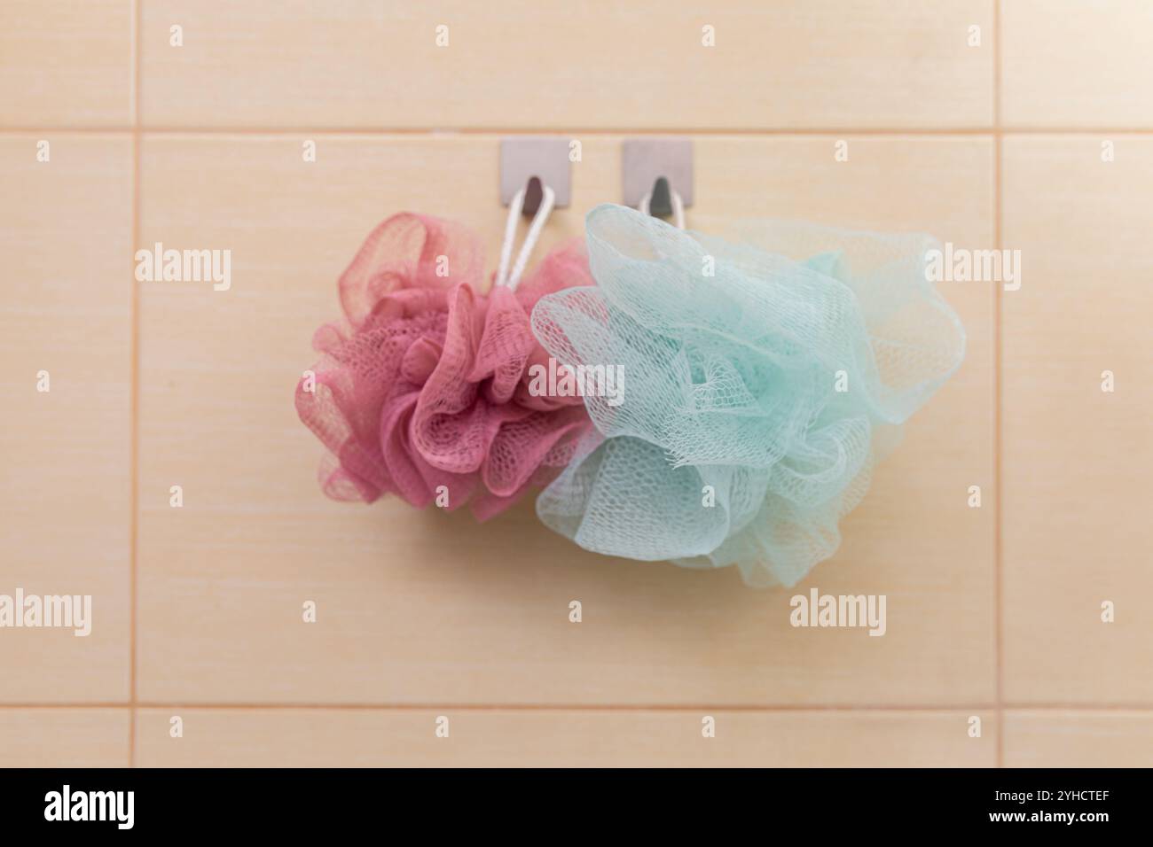 A Variety of Colorful Shower Loofahs Tastefully Hanging on the Bathroom ...
