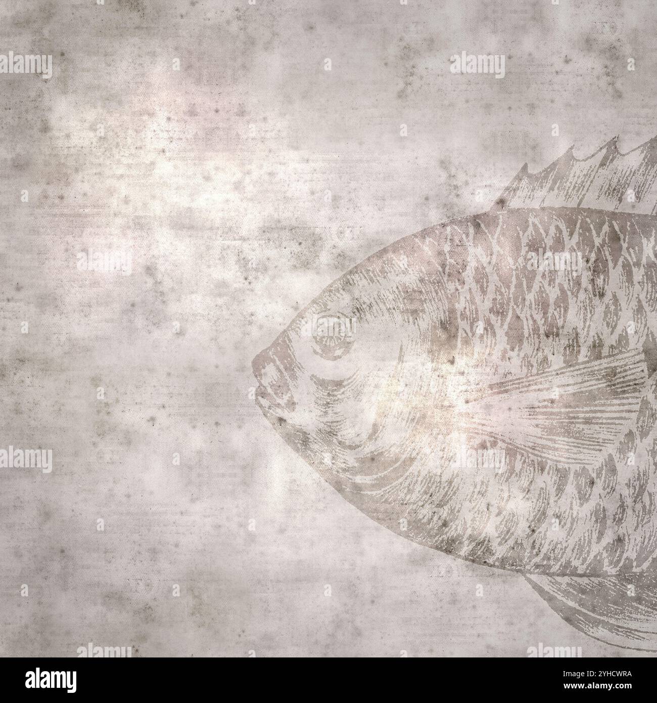 stylish square textured old paper background with ink Drawing of Canary ...