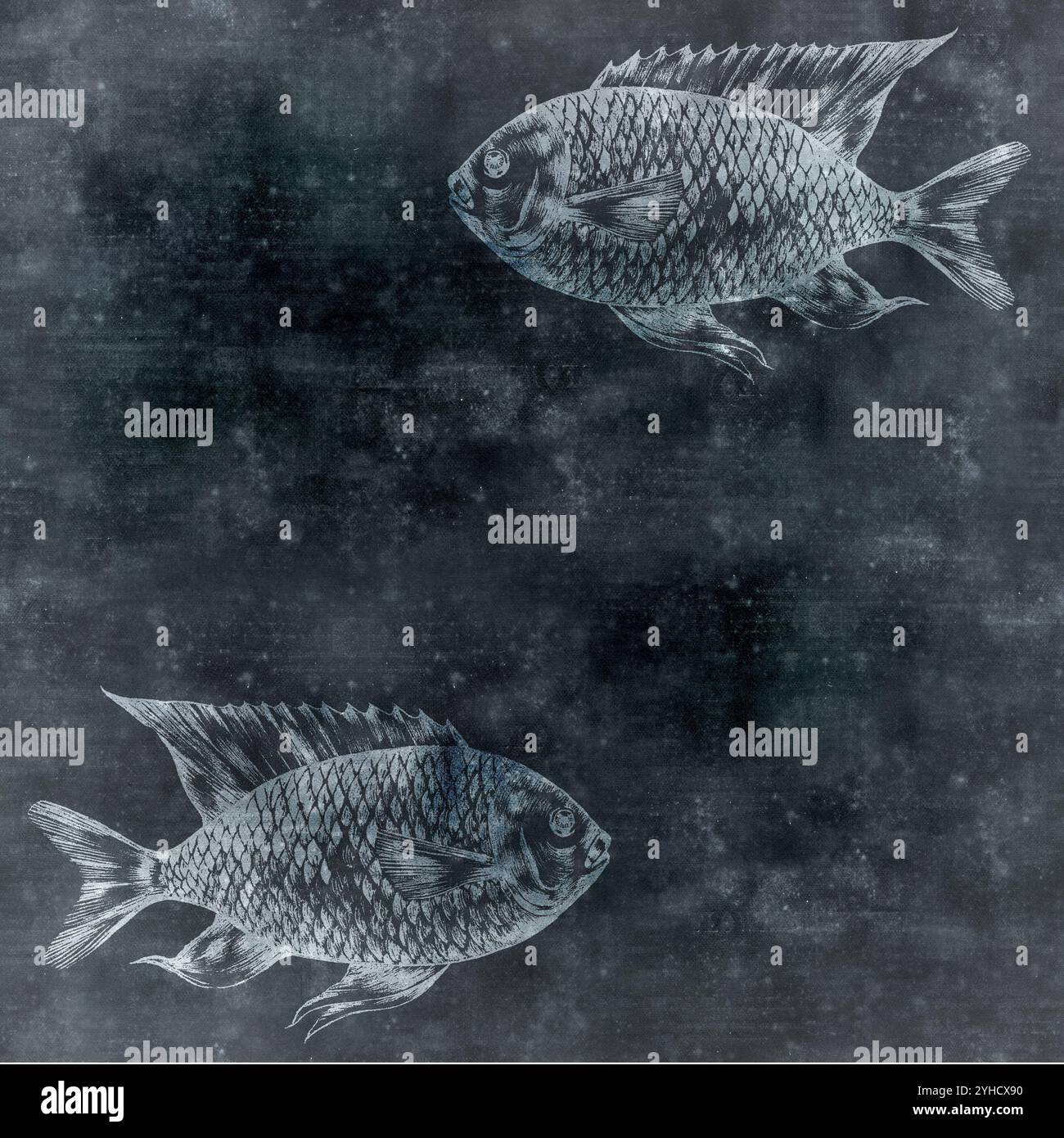 stylish square textured old paper background with ink Drawing of Canary ...