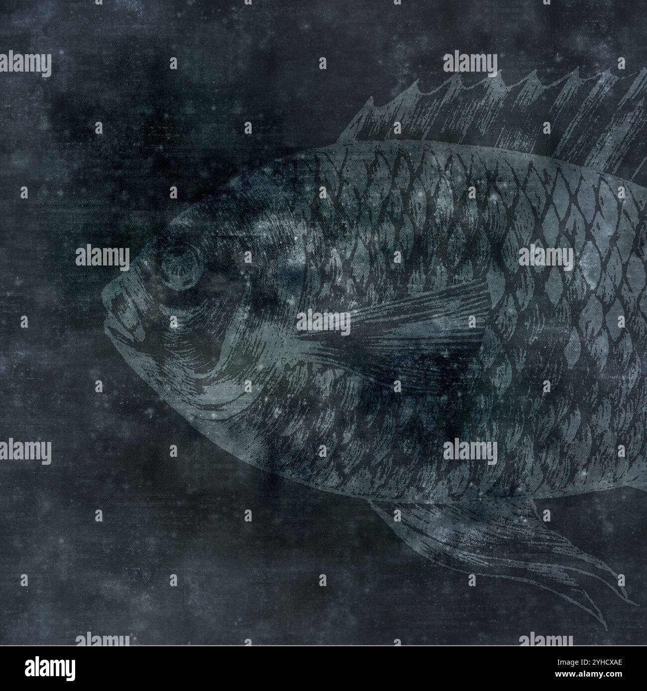 stylish square textured old paper background with ink Drawing of Canary ...