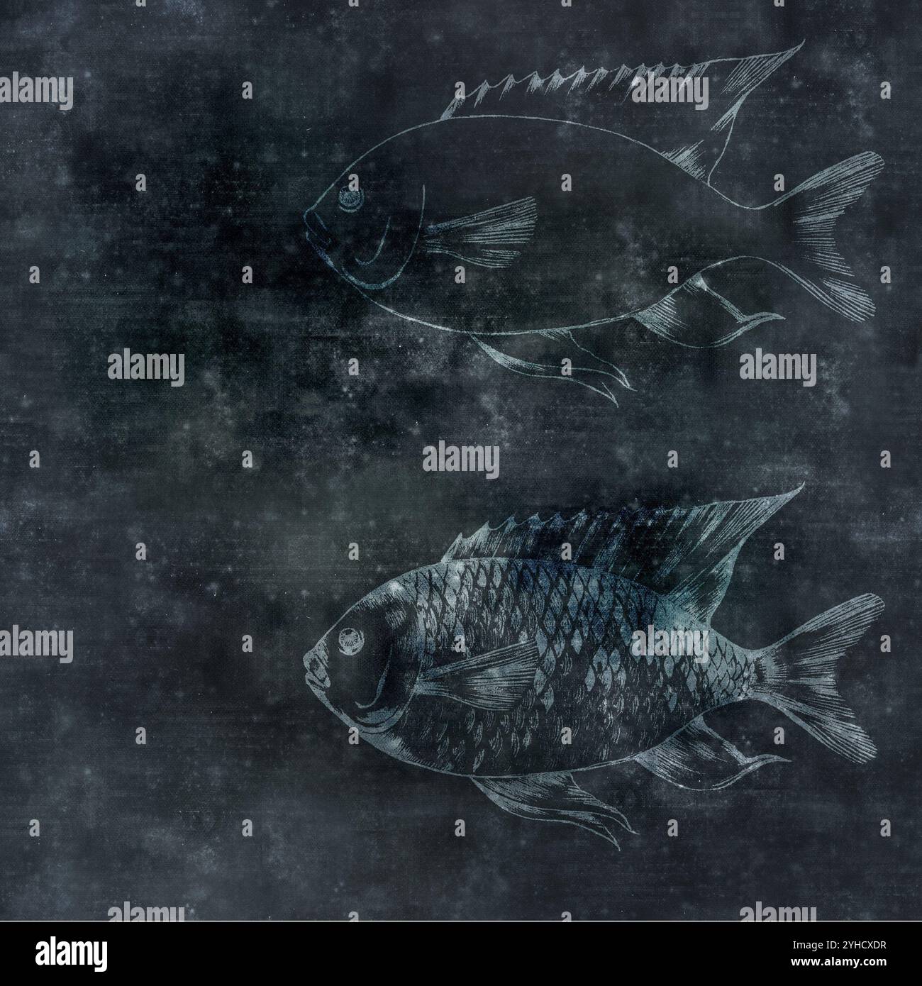 stylish square textured old paper background with ink Drawing of Canary ...