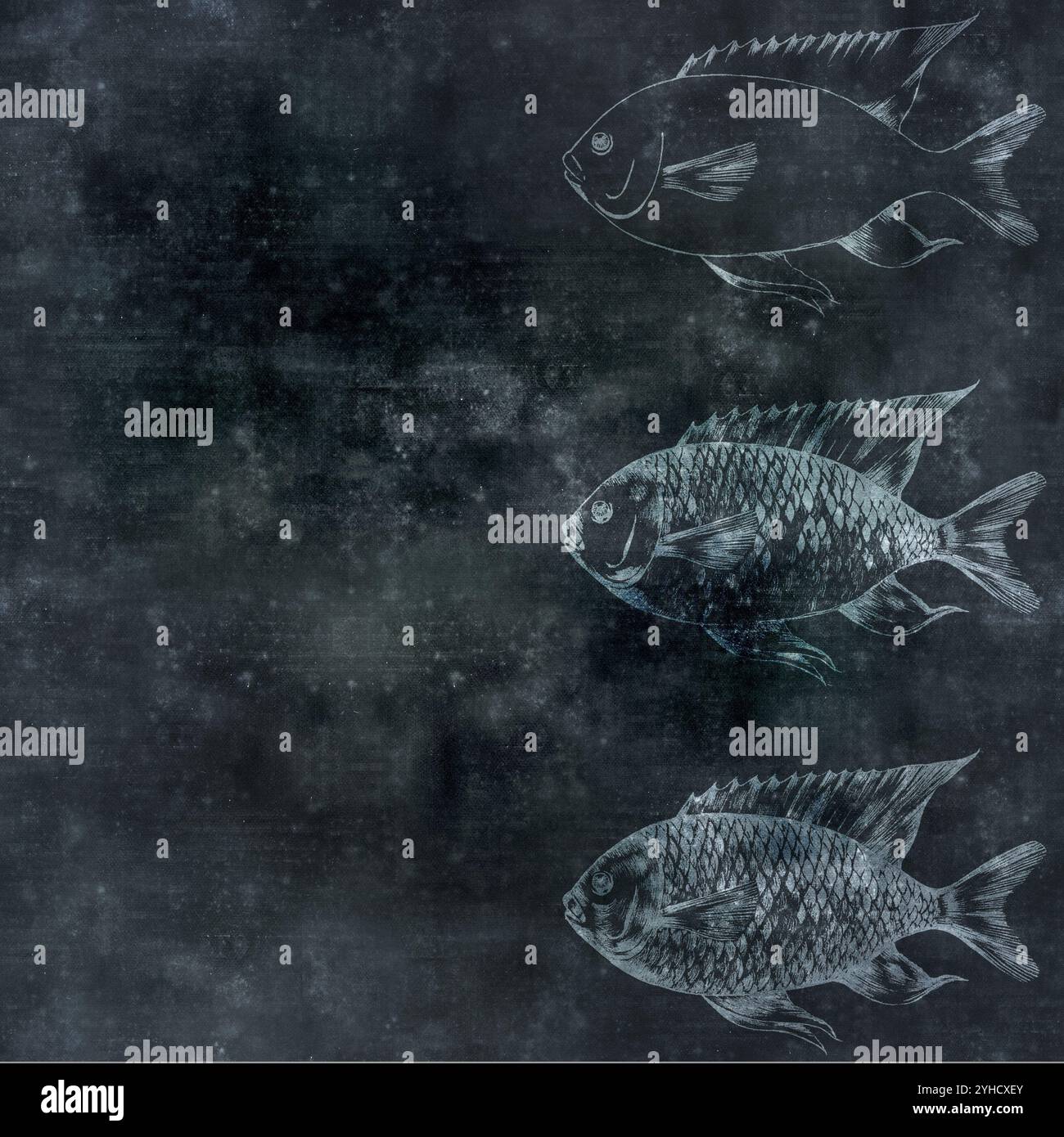 stylish square textured old paper background with ink Drawing of Canary ...