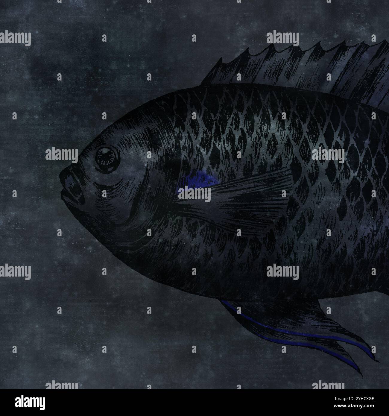 stylish square textured old paper background with ink Drawing of Canary ...