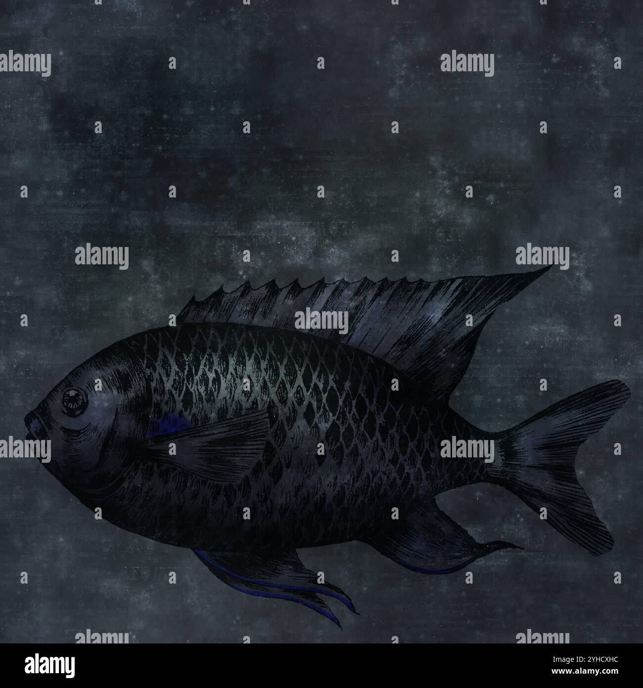 stylish square textured old paper background with ink Drawing of Canary ...