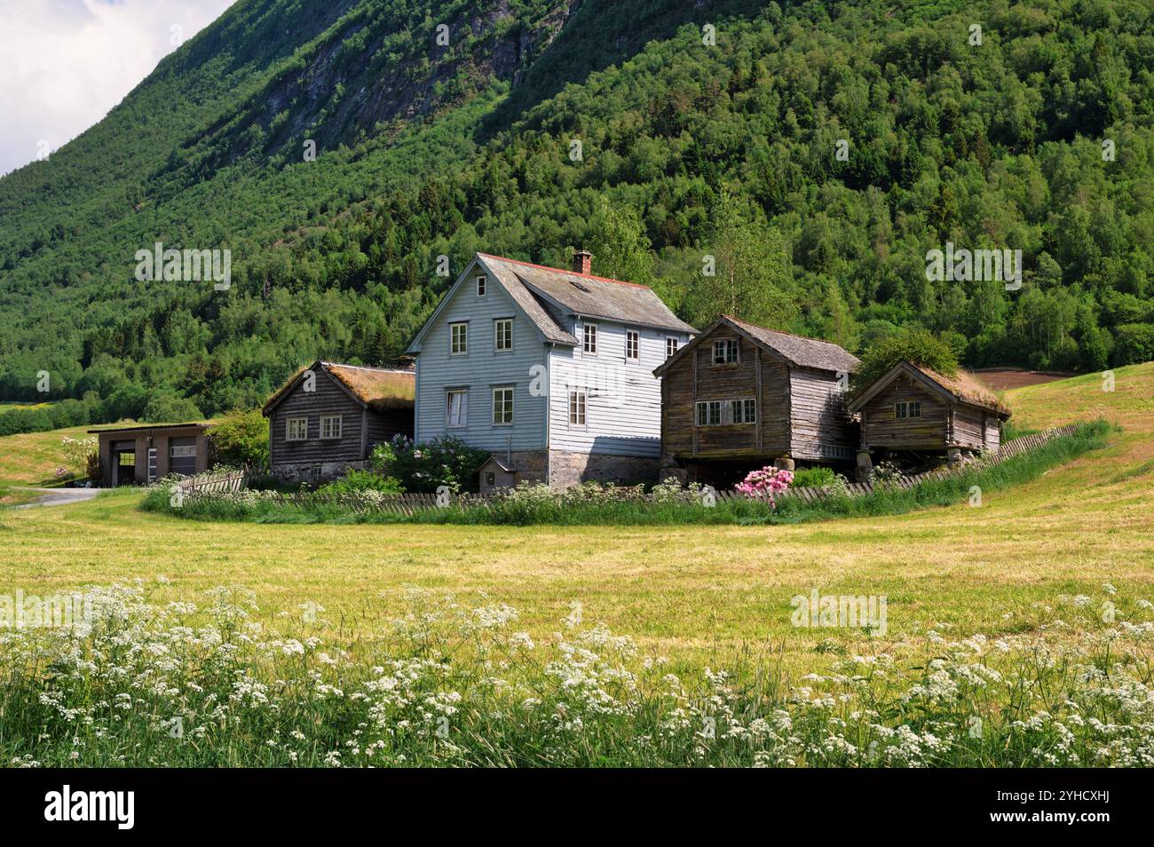 Old wooden farm buildings, nestled into a norwegian mountainside, along ...