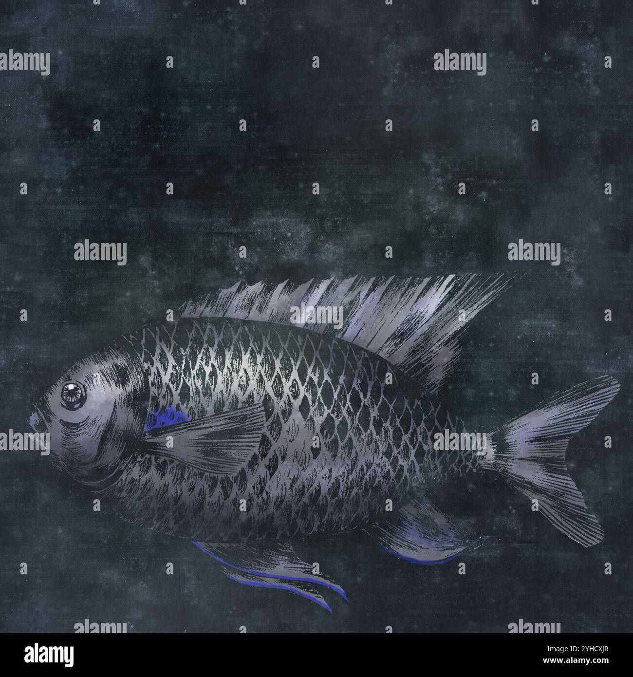 stylish square textured old paper background with ink Drawing of Canary ...