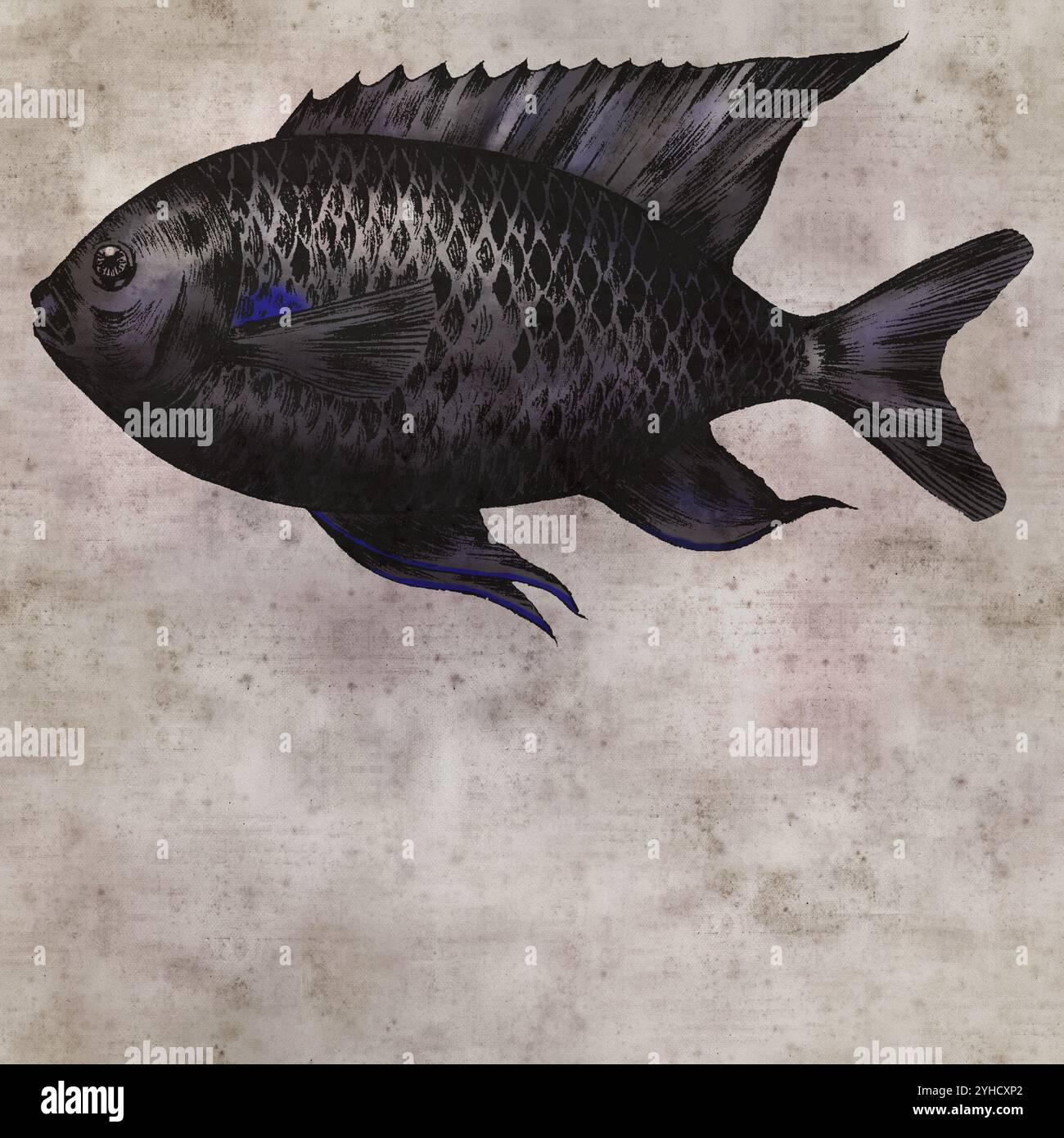 stylish square textured old paper background with ink Drawing of Canary ...