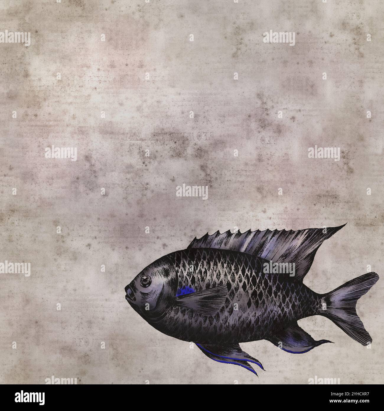 stylish square textured old paper background with ink Drawing of Canary ...