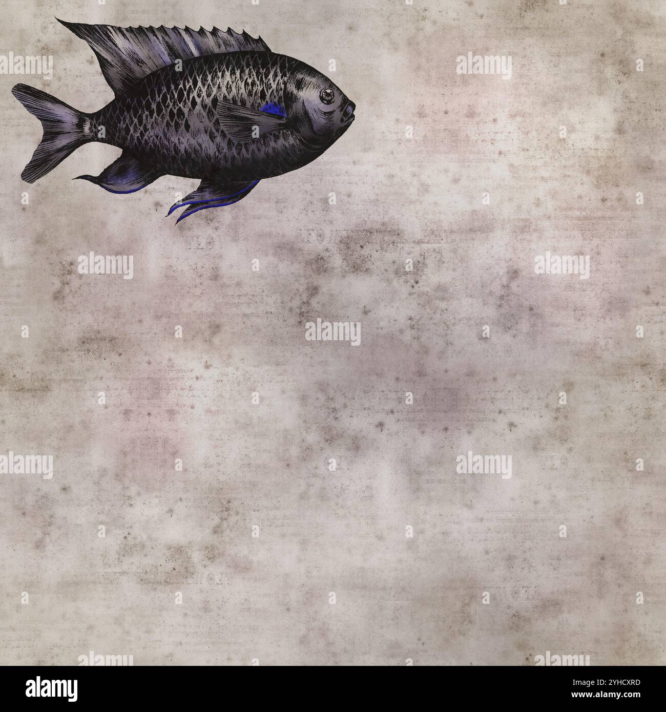 stylish square textured old paper background with ink Drawing of Canary ...