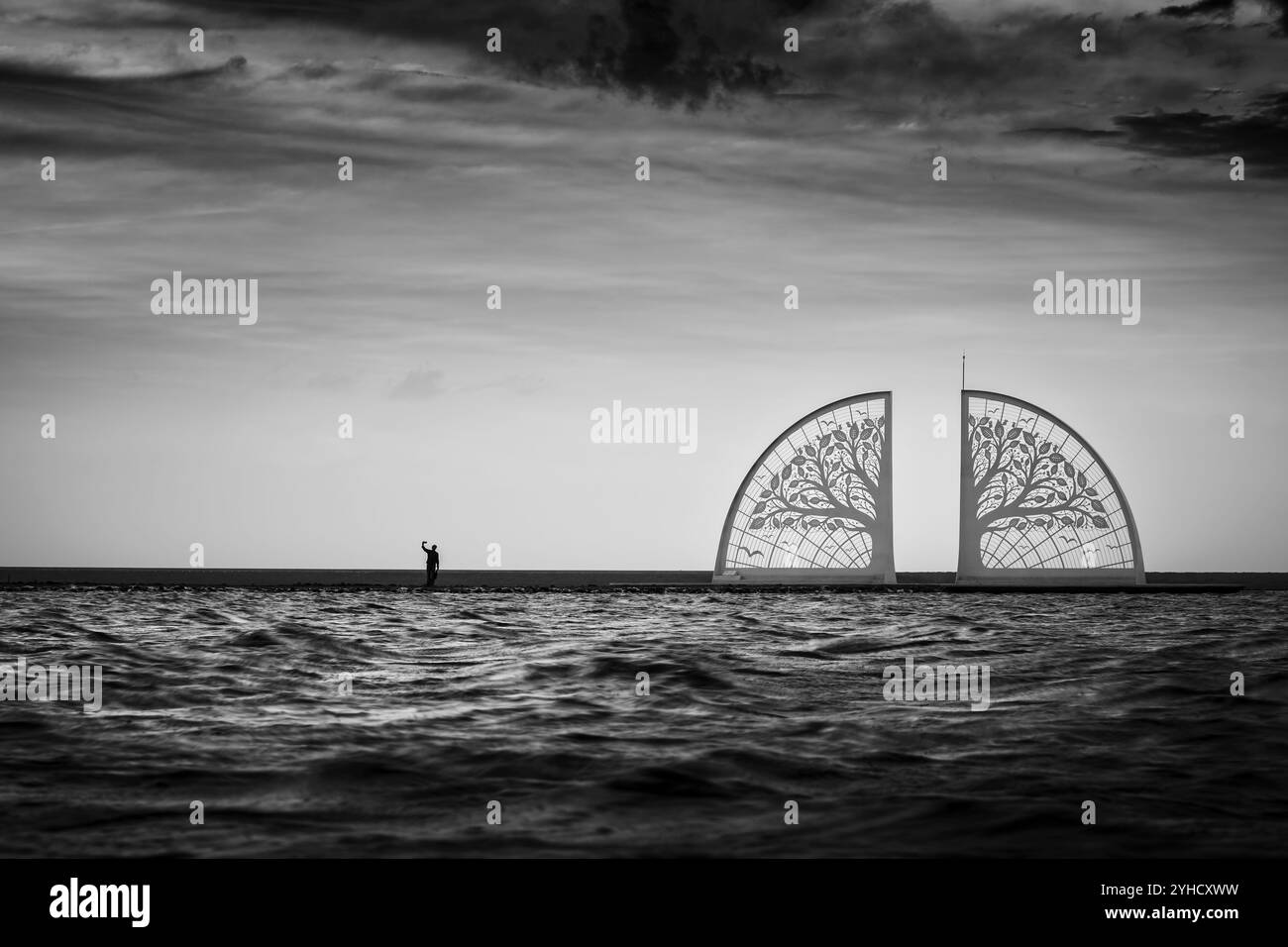 Making the tree Black and White Stock Photos & Images - Alamy