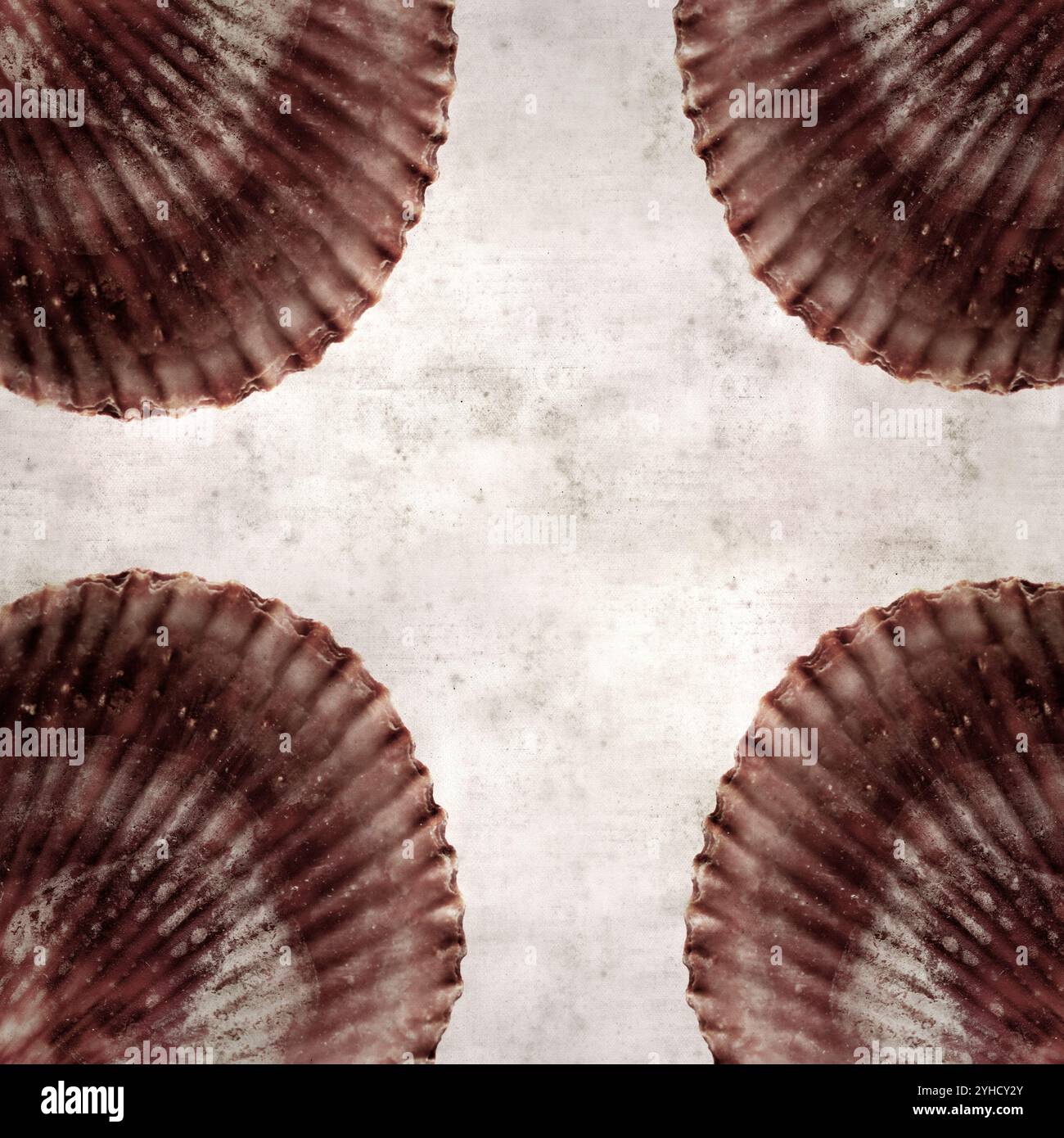 textured stylish old paper background, square with shell of Talochlamys ...