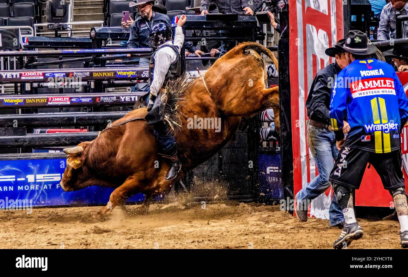 Nick Tetz aboard "Talk's Cheap" completes his ride for a score of 85.75 ...