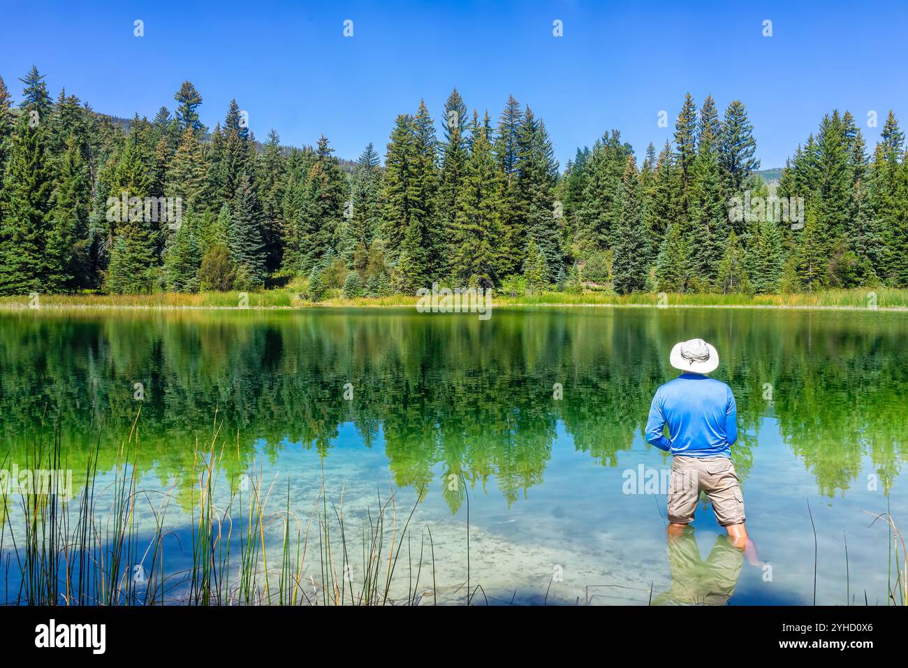 Eagle County Emerald Lake with coniferous trees and mirror sky reflection on water surface and ...