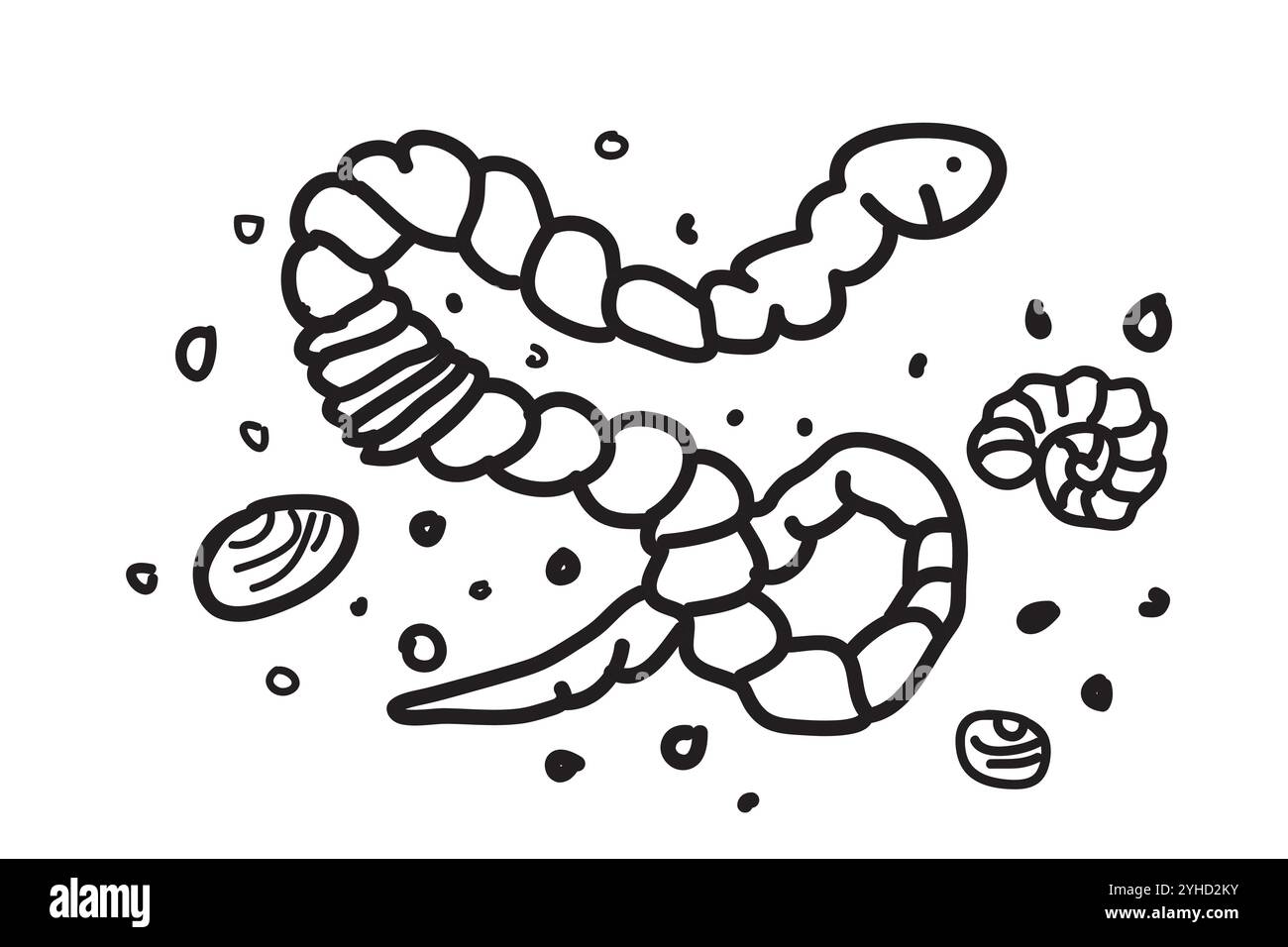 Cartoon hand drawn black outline worm isolated on white background ...