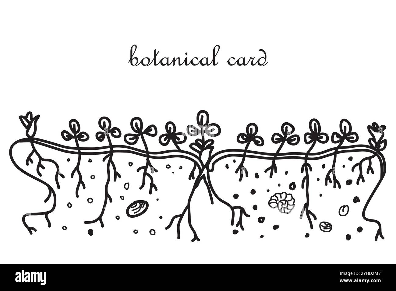 Hand drawn botanical growing plants with roots isolated on white ...