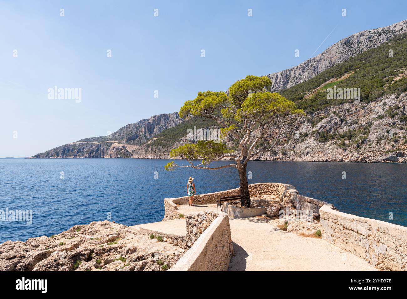 Woman enjoying the sea view standing under the lonely tree on a cliff ...