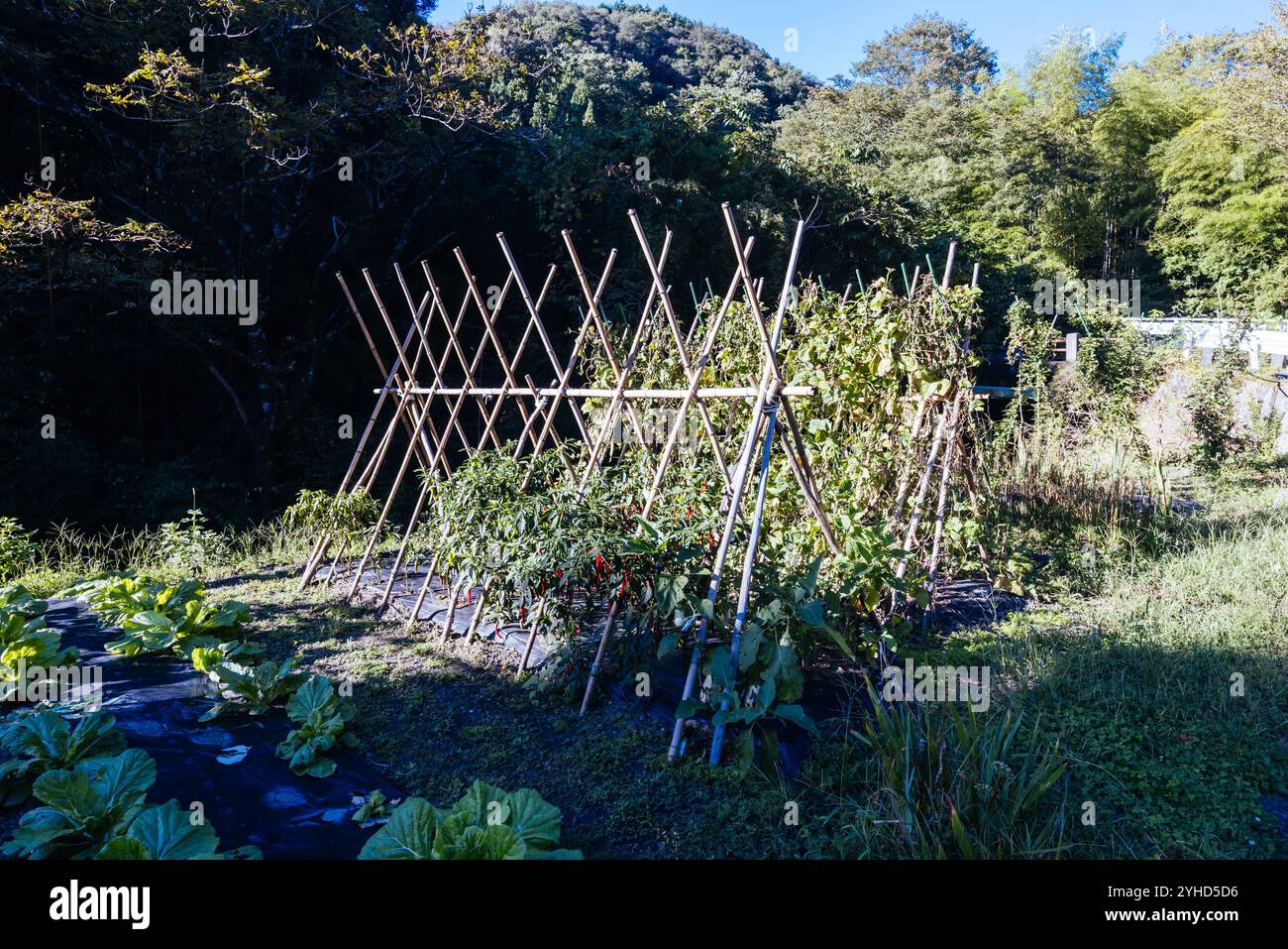 Nakasendo Trail Landscape in Japan Stock Photo - Alamy
