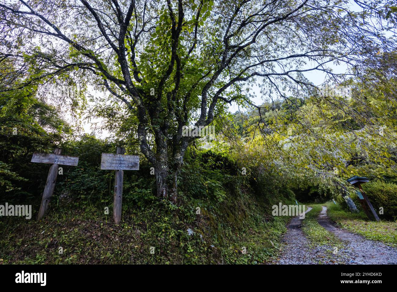 Nakasendo Trail Landscape in Japan Stock Photo - Alamy