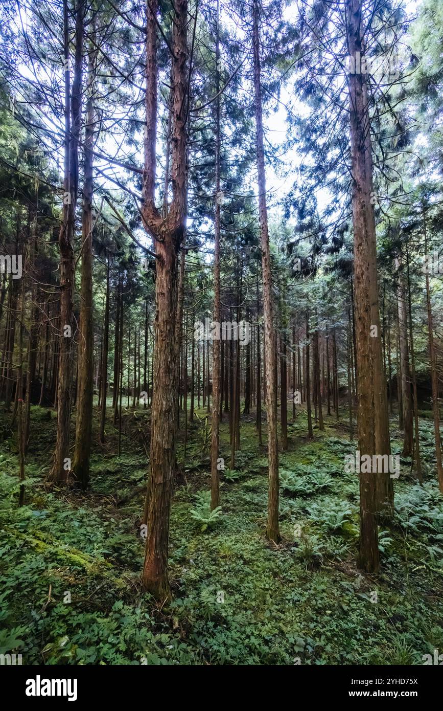 Nakasendo Trail Landscape in Japan Stock Photo - Alamy