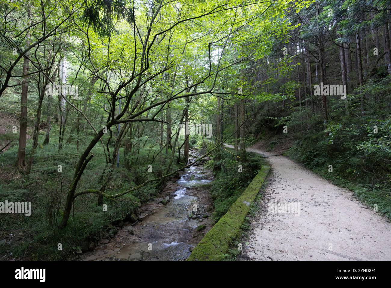 Nakasendo Trail Landscape in Japan Stock Photo - Alamy