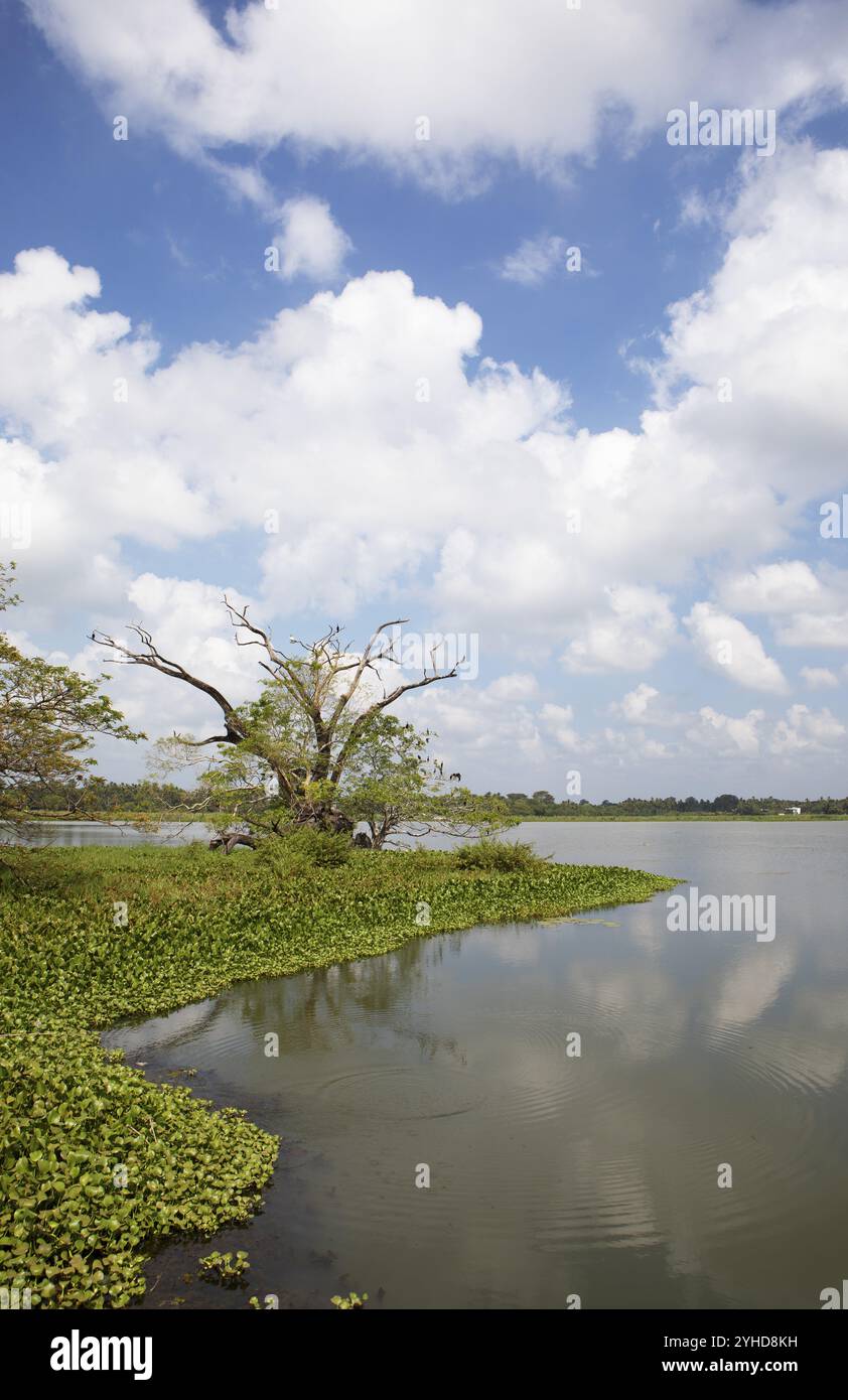 Debara wewa hi-res stock photography and images - Alamy