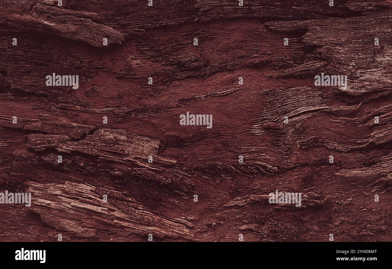 Bark wood texture hi-res stock photography and images - Alamy