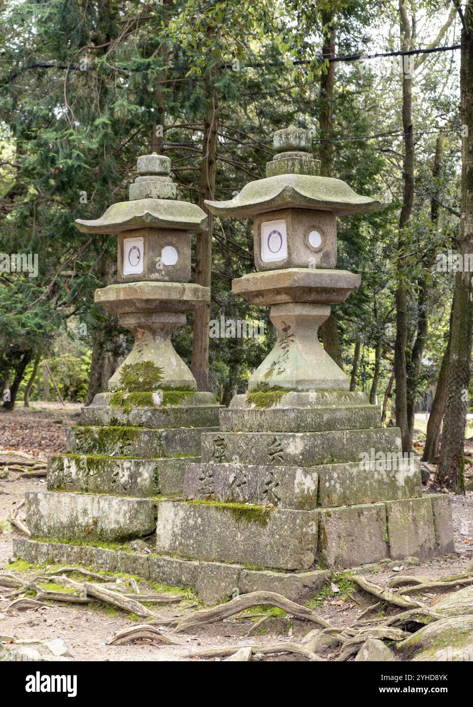 Stone lanterns, Kasuga-taisha shrine, Nara, Japan, Asia Stock Photo - Alamy