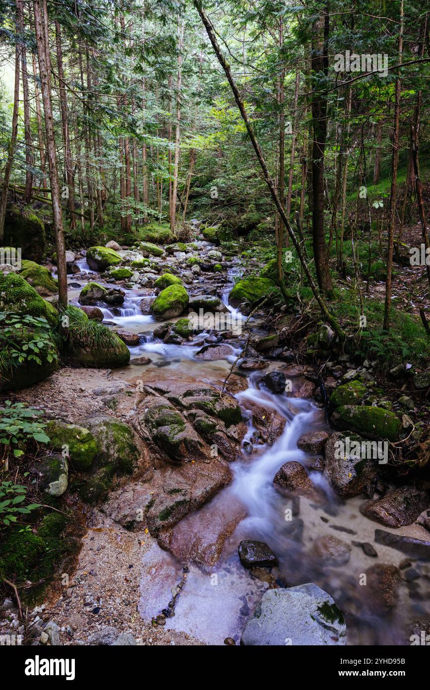 Nakasendo Trail Landscape in Japan Stock Photo - Alamy