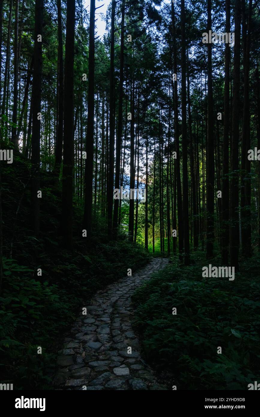 Nakasendo Trail Landscape in Japan Stock Photo - Alamy
