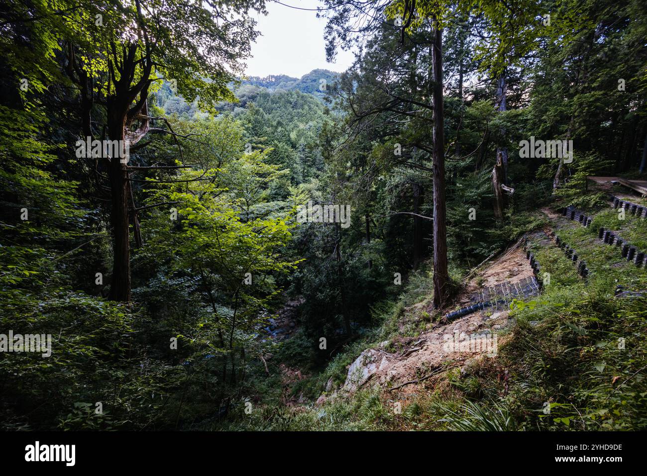 Nakasendo Trail Landscape in Japan Stock Photo - Alamy