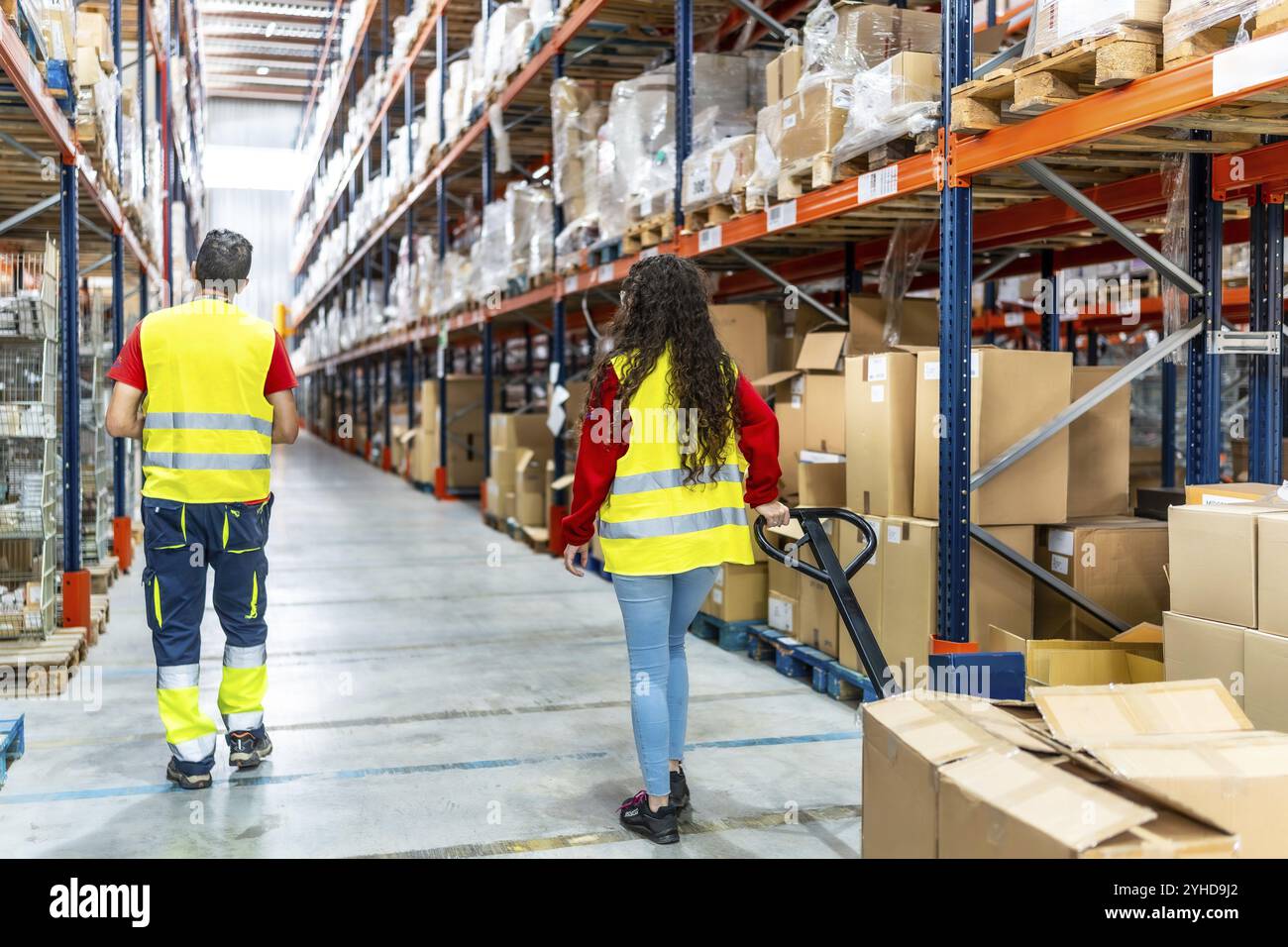 Rear view of two workers of warehouse picking packages from shelves ...