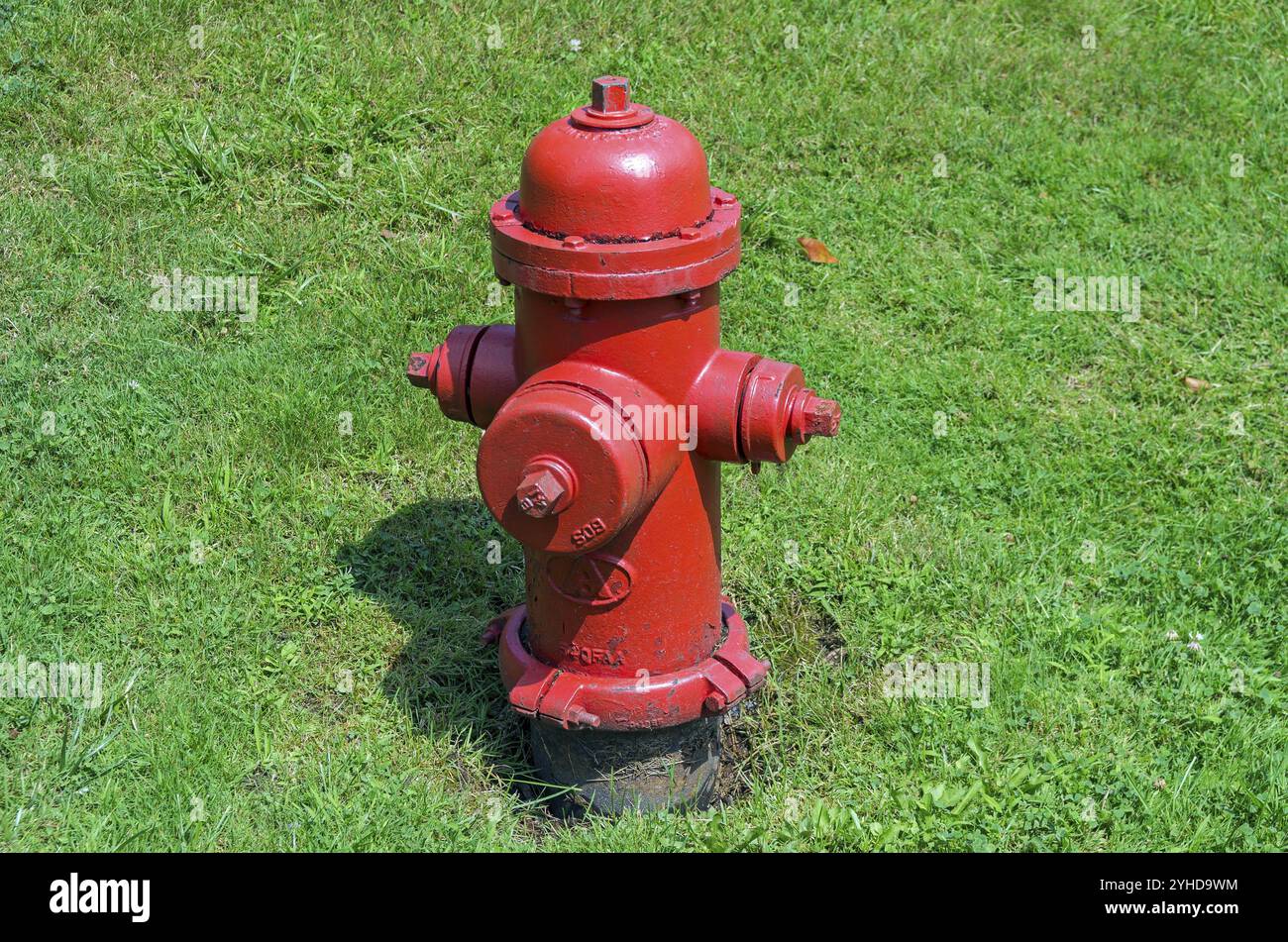 Bright red fire hydrant on the background of green grass Stock Photo ...