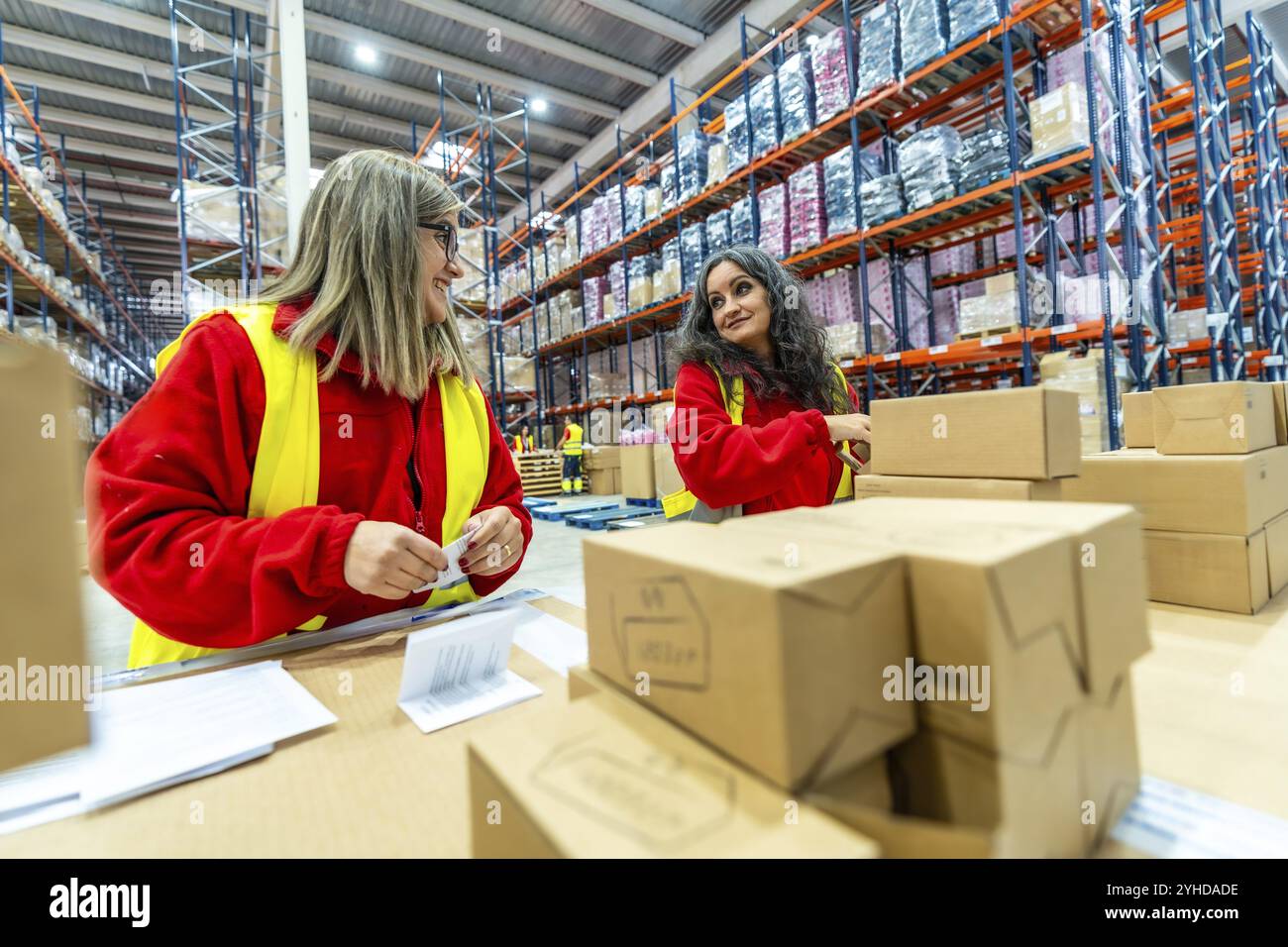 Two caucasian adult women working together organizing shipments in a ...
