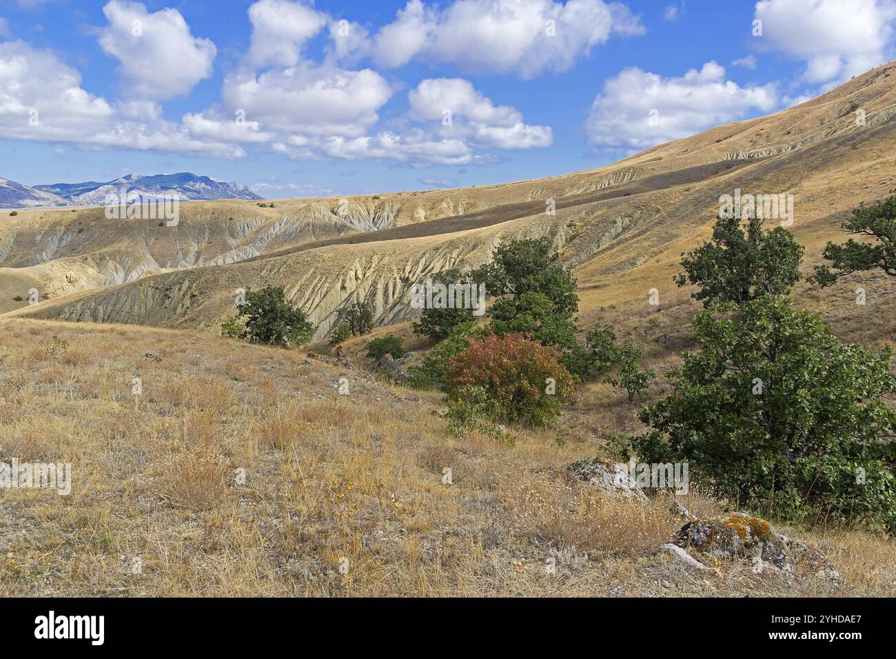 Clay ravines with traces of soil erosion and weathering at the foot of ...