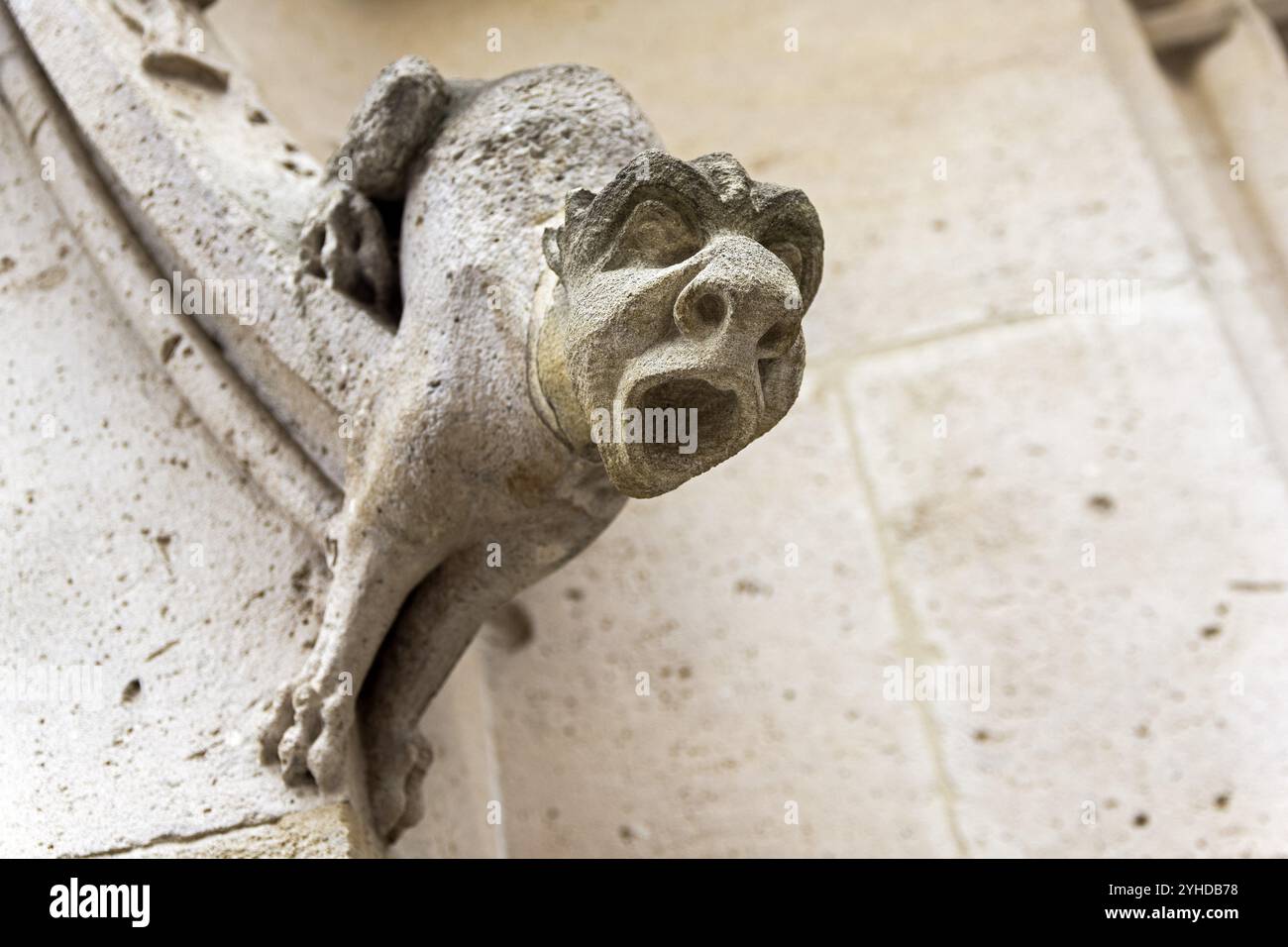 Gargoyles on the wall of a medieval building. Rouen, France, Europe ...