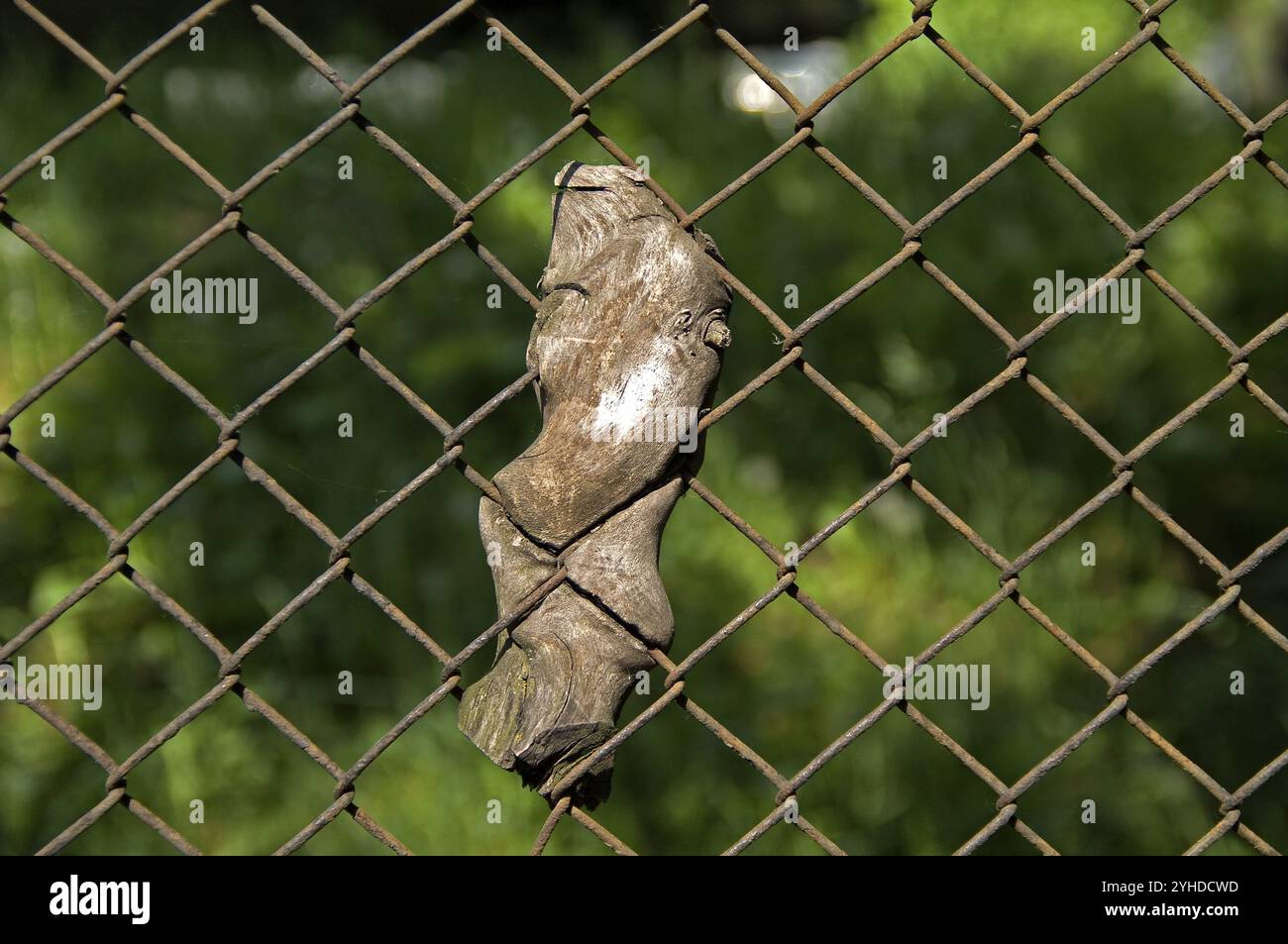 Tree stump fence hi-res stock photography and images - Alamy
