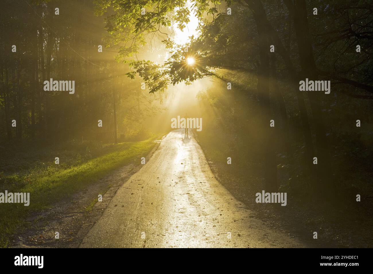 Sunbeams breaking through light hi-res stock photography and images - Alamy