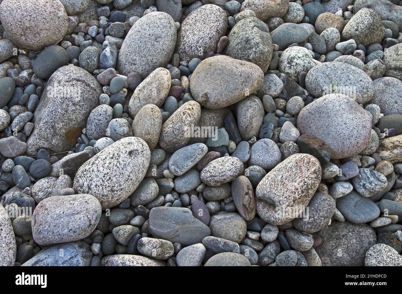 Background of various pebbles on a river bank Stock Photo - Alamy