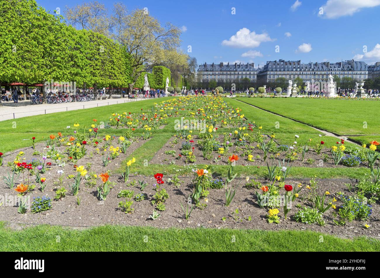 PARIS, FRANCE, APRIL 2, 2017: Lawn with flowers (tulips, daffodils ...